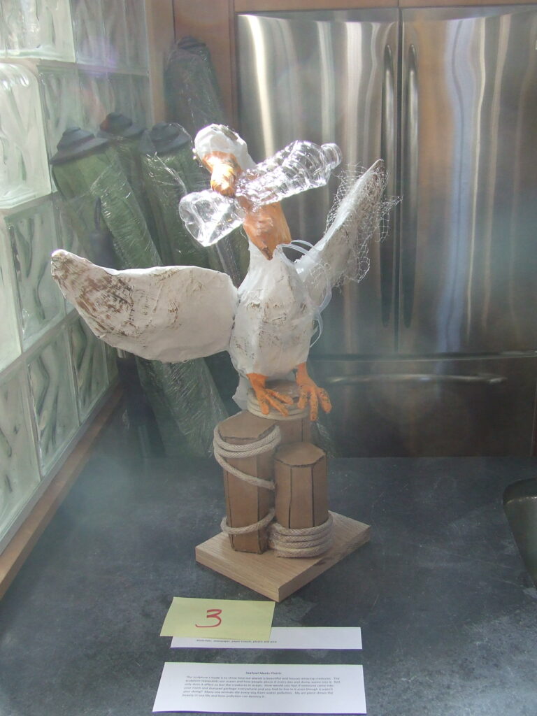 2021 Recycled Art Contest - YCSWA
